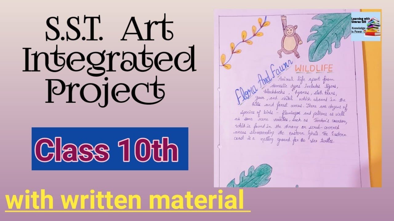 S.S.T. Art Integrated project class 10th - YouTube