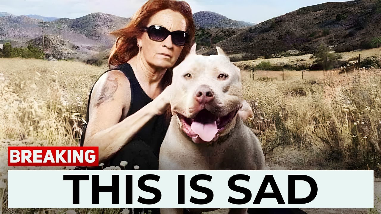 What Really Happened to Tia Torres? The Truth Behind Pit Bulls and ...