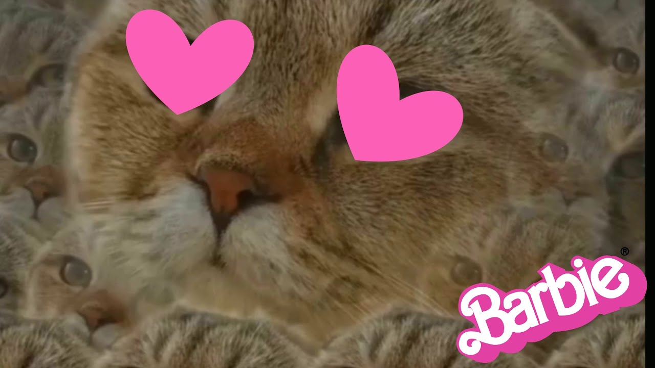 Barbie meow to the song of Barbie Girl - YouTube