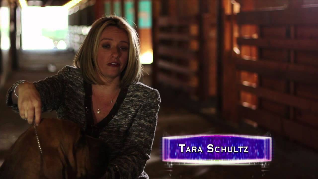 2012 Show Dog Championship - Tara & Bruce Shultz Feature - YouTube