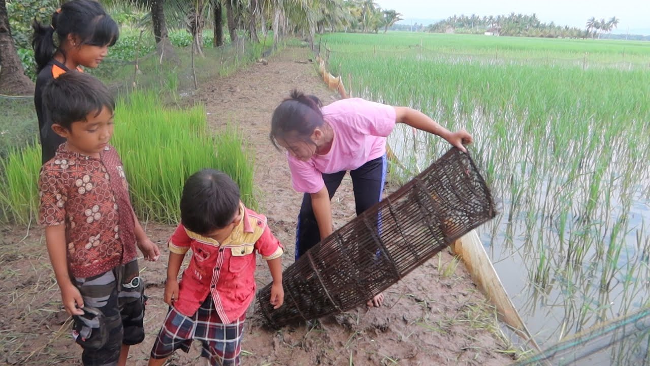Air makin besar waktunya berburu keong || bakar telor beldeg - YouTube
