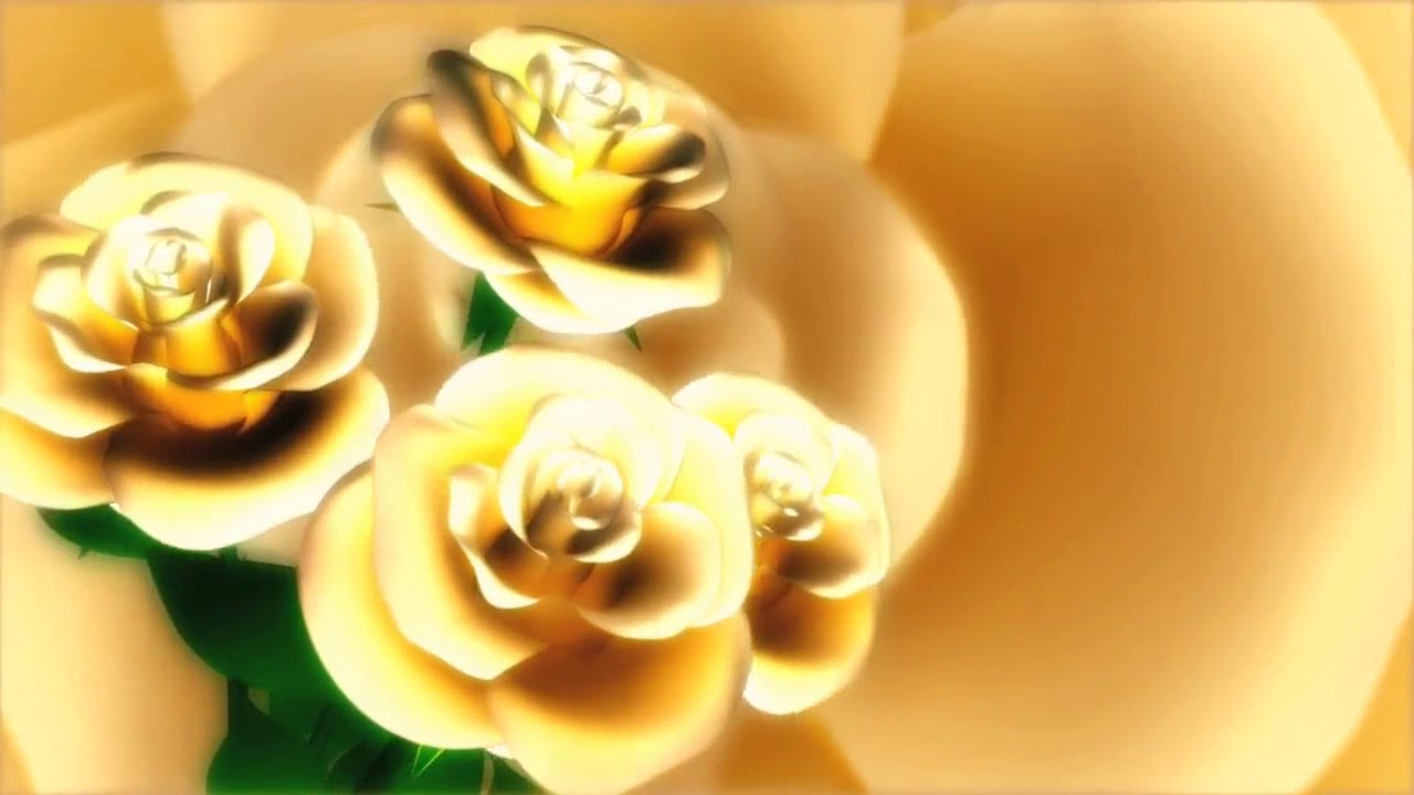 Yellow Roses Premium HD Video Background HD0440 , Video Background ...