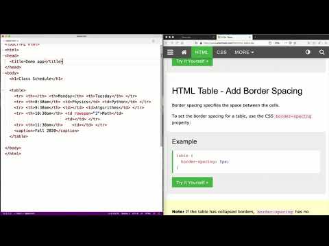 Html Tables And Form Basics - Youtube
