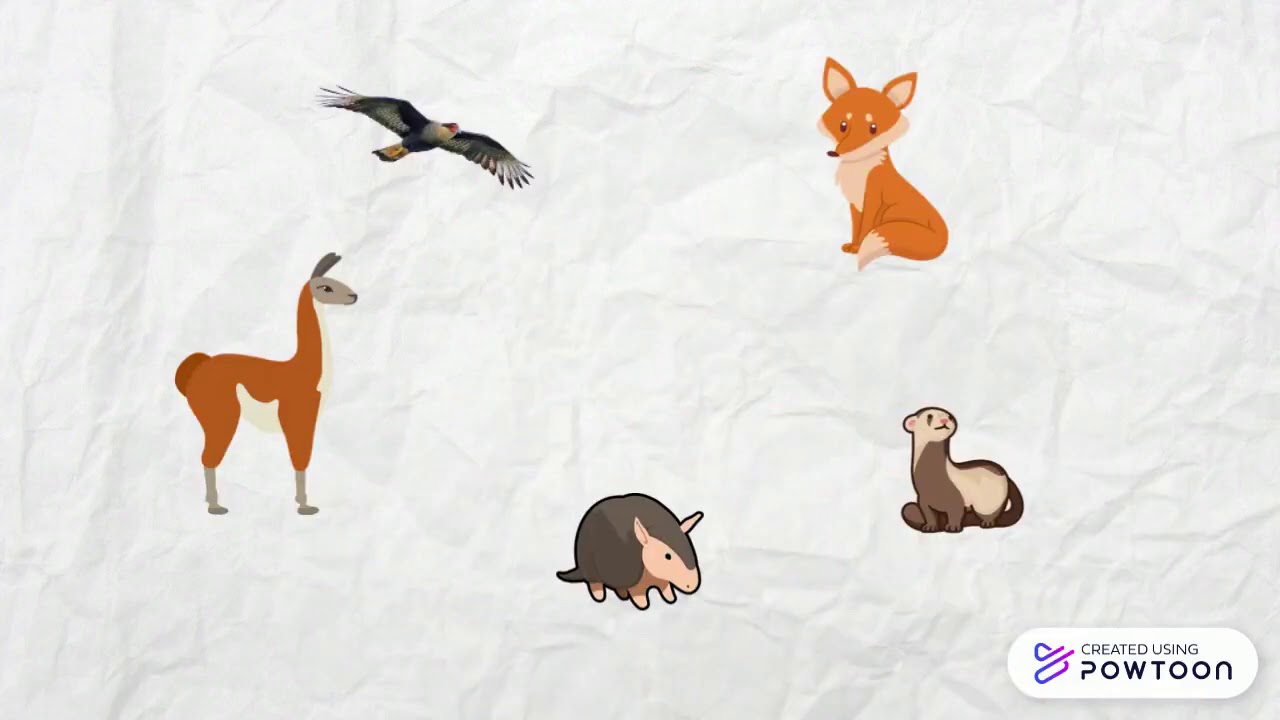 ¿Qué es un animal autóctono? - YouTube