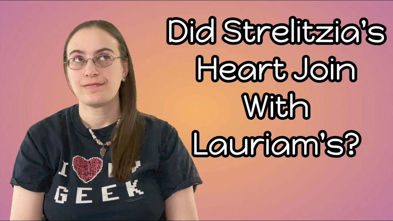 Did Strelitzia's Heart Join With Lauriam's? | Kingdom Hearts Theory ...