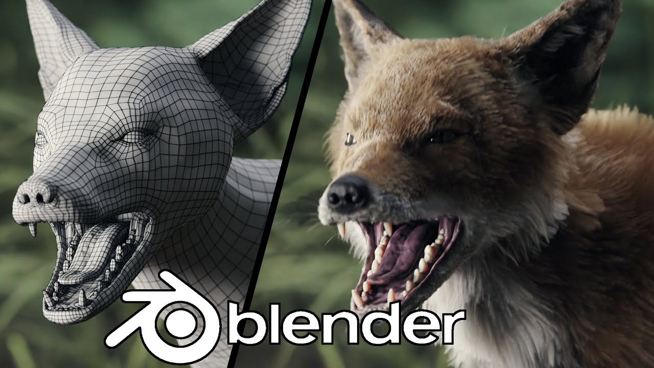 Making a Red Fox in blender - Timelapse - YouTube