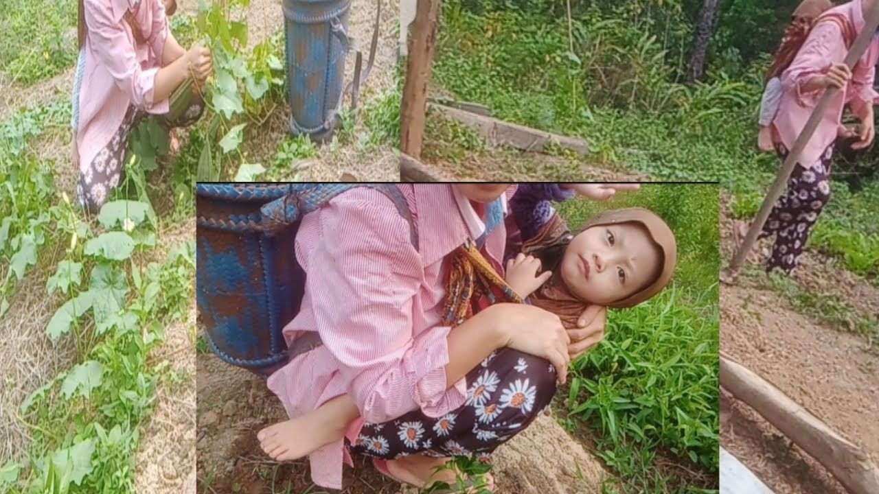 seorang ibu terpaksa sikut anak buat kerja keras dikebun - YouTube