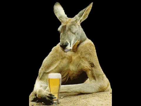 Roger the roo - YouTube