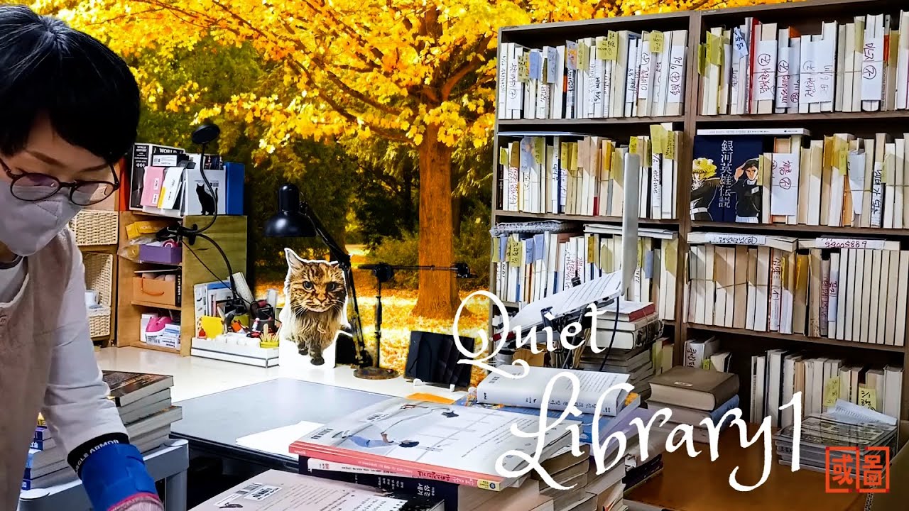 Quiet Library 1 ☕ Peaceful Tunes for Tranquil Rest - YouTube