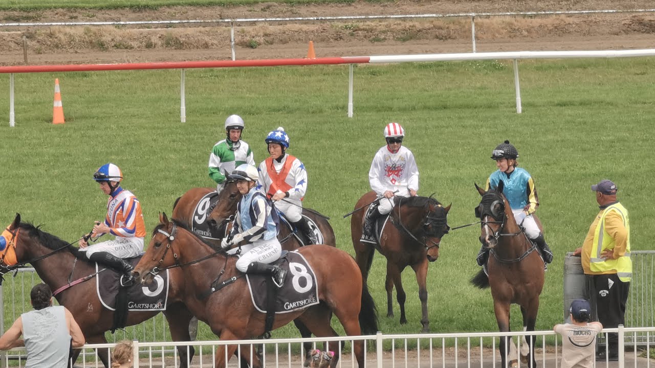 Horse Racing - YouTube