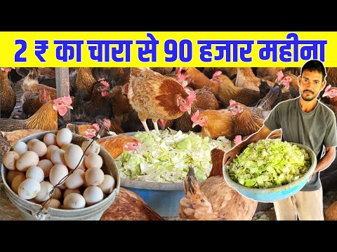 दो रुपए किलों के चारा से सोनाली मुर्गी पालन | sonali murgi palan | murgi palan business