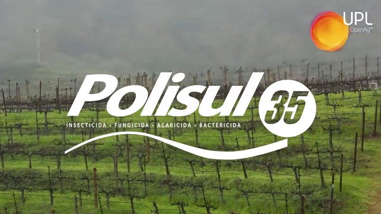 Polisul 35 - YouTube