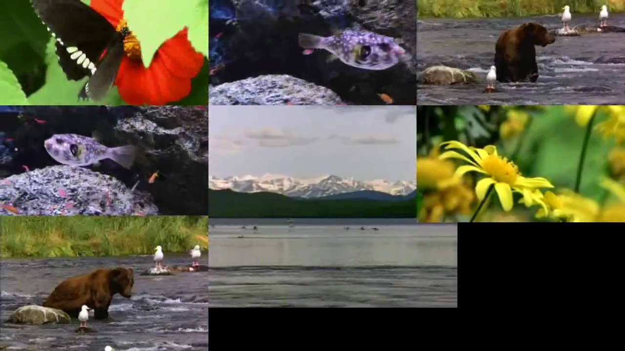 9 PiP Track - YouTube