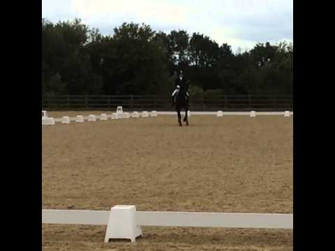 Canter Half pass dressage Ashley Jenkins - YouTube
