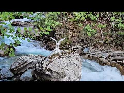 Groppensteinschlucht, Obervellach, Austria 🇦🇹 | The Most Spectacular Gorge in Carinthia