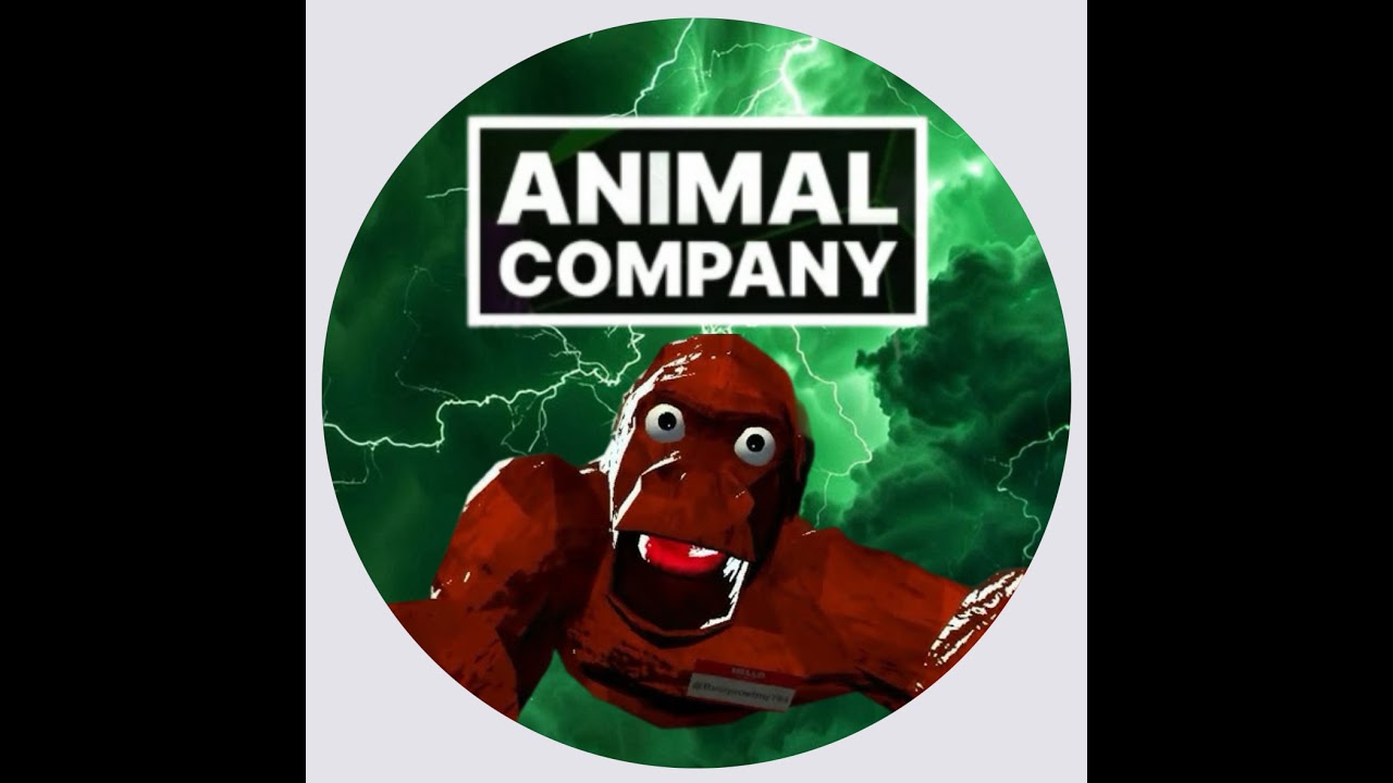 Sigma_animal_company Live Stream - YouTube