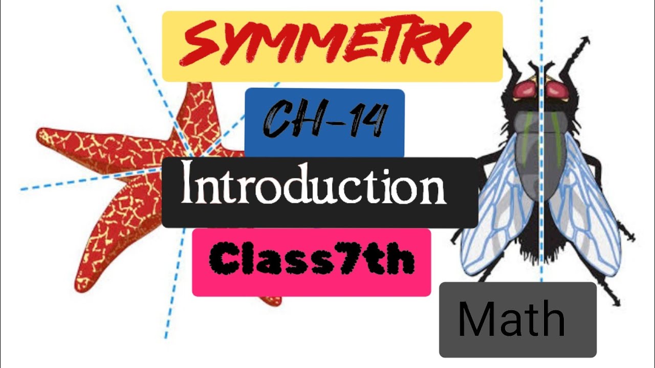 Symmetry introduction | Chapter 14 | Math | Class7th | Ncert | mathsAP ...