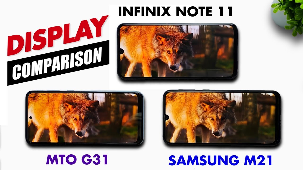 Amoled Display Battle - Moto G31 vs Infinix Note 11 vs Samsung m21 ...