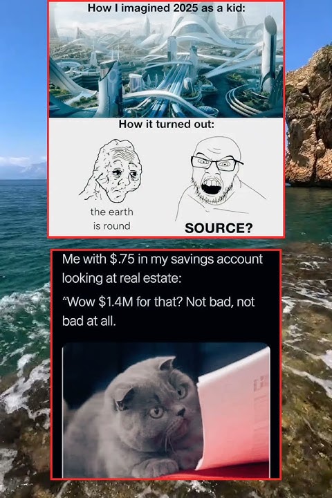 How I imagined 2025 as a kid #memes #memesdaily #viral #trendingshorts - YouTube