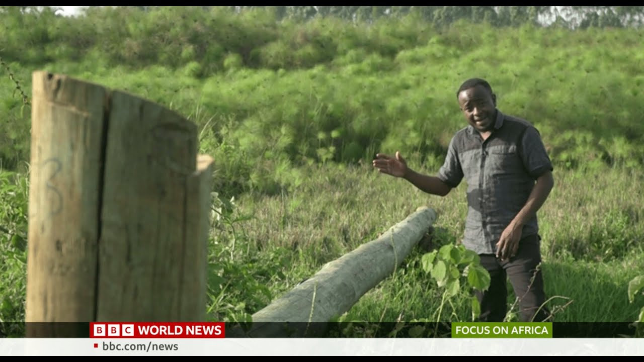 Scrap Metal Trade Uganda - YouTube