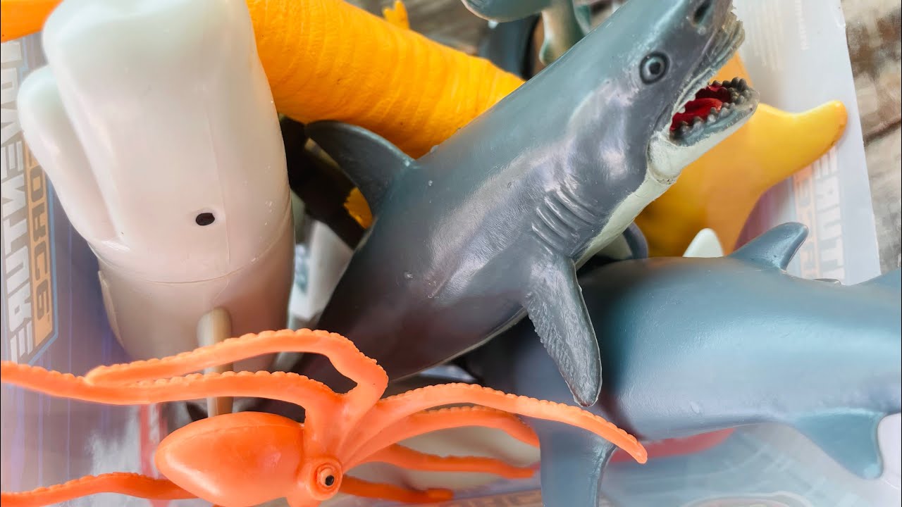 Playing with Sharks and other Sea Animals/Ocean Animals! Have fun ...