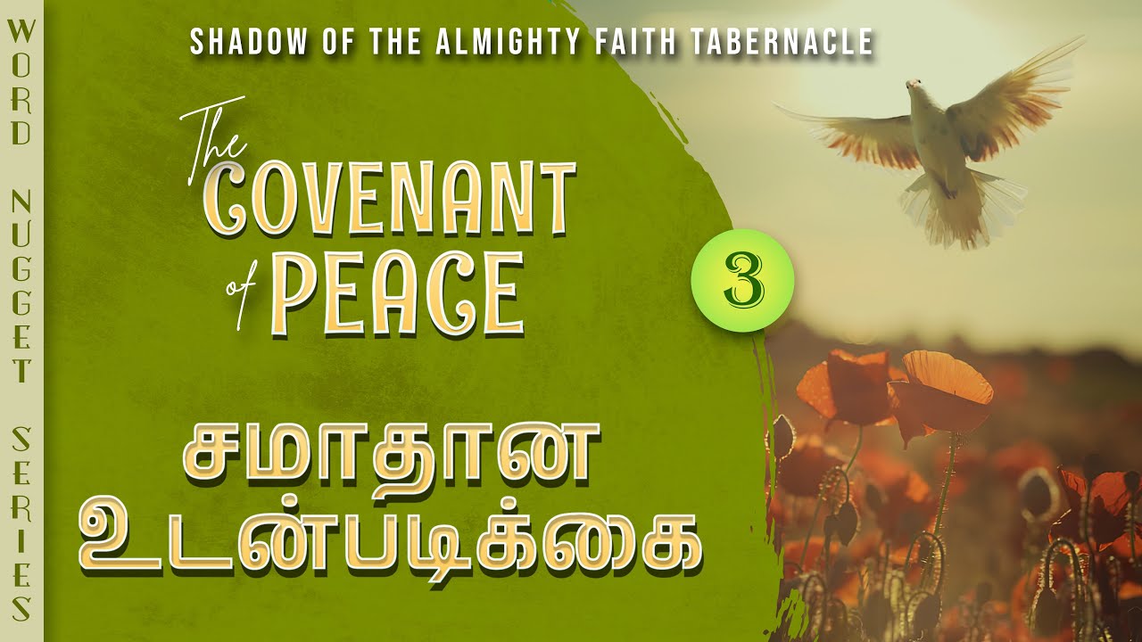 Word Nugget - The Covenant of Peace - Part 3 / சமாதான உடன்படிக்கை ...
