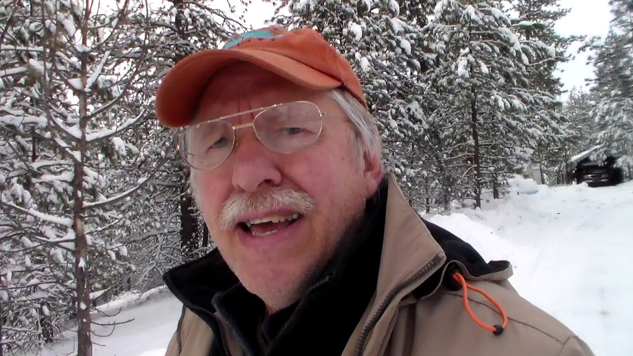 The Why Guy Hell Tree - YouTube