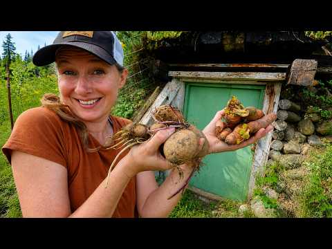 These Potatoes Sat in the Cellar for 10 Months. We're Eating Them.