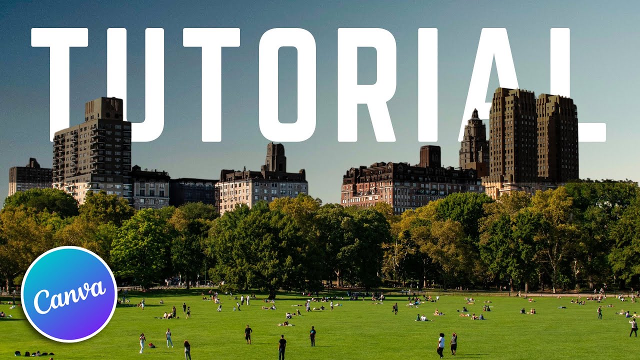 How To Create a Morph Text Reveal Effect in Canva | Cool Vlog Intro - YouTube