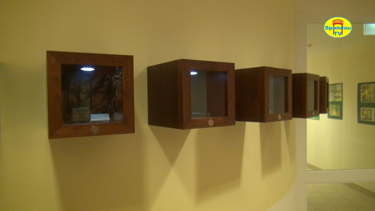 Info zur "Germania Slavica" Ausstellung - YouTube