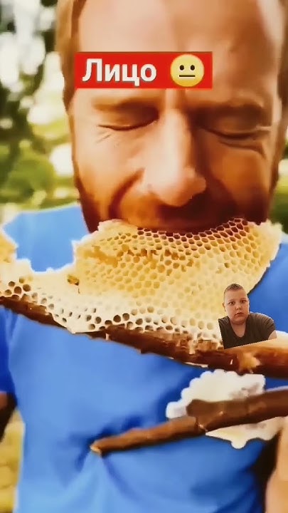 В АТАКУ! СОБИРАЕМ БОЛЬШЕ ПЧЕЛ ПЧЕЛЫ СИЛА! 🐝 - YouTube