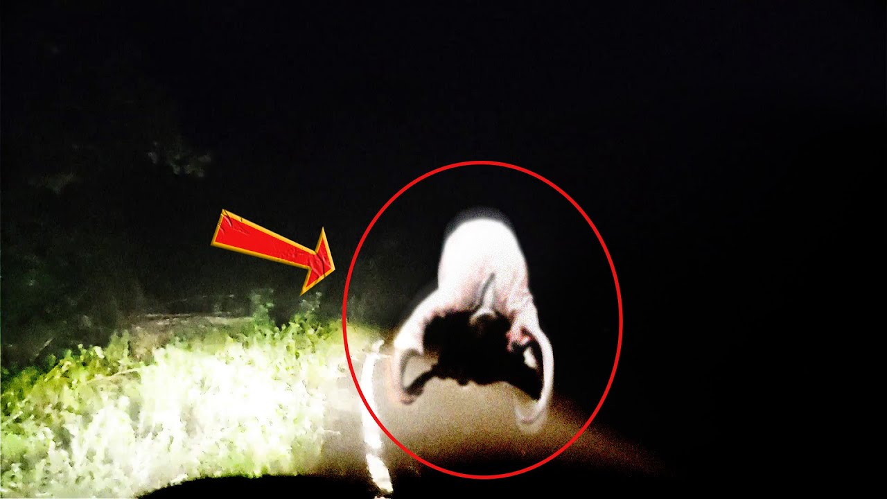 OMG is this family still alive? ghost caught on camera while filming ...