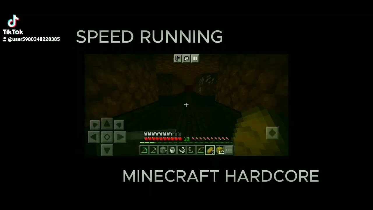 Minecraft Hardcore Speedrunning Youtube