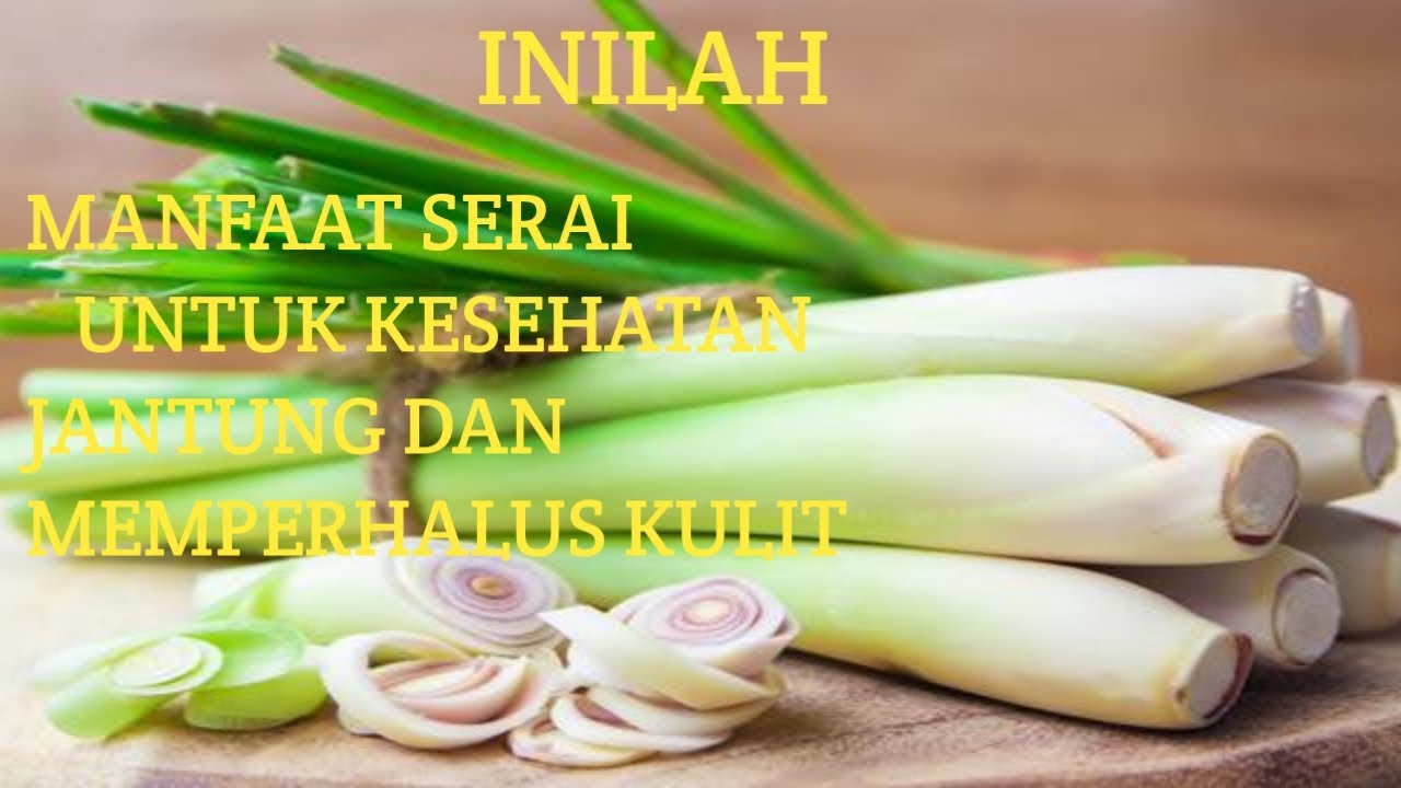 Manfaat serai untuk kesehatan tubuh dan kulit - YouTube