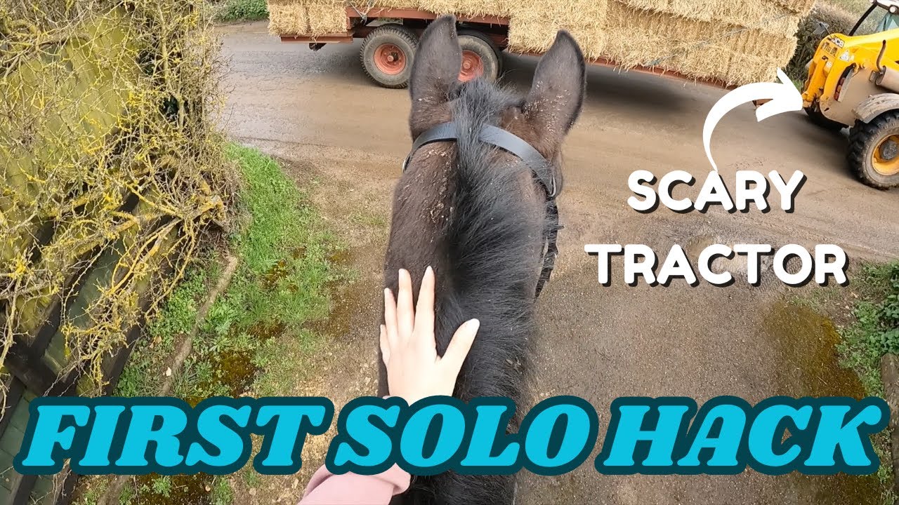 MY FIRST EVER SOLO HACK WITH MY EX RACEHORSE! - GoPro Hack - YouTube