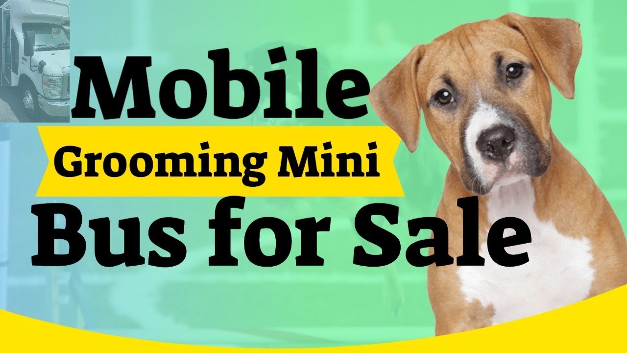 Mobile Grooming Mini Bus For Sale - Mobile Pet Dog Grooming Van Bus For ...