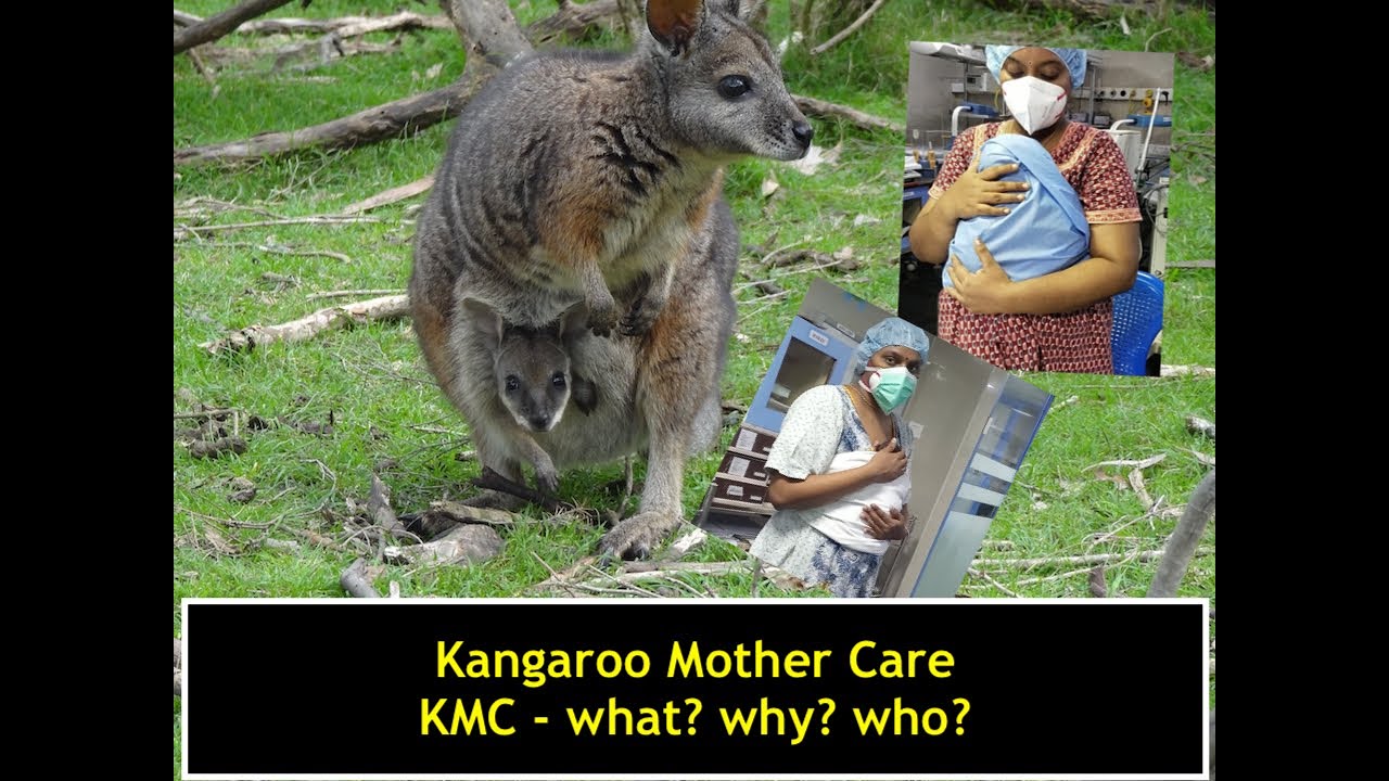 Kangaroo mother care | KMC | Skin-to-skin contact | For preterm and low ...