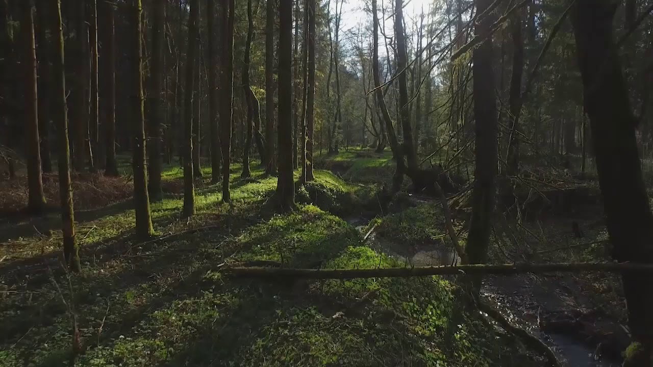 Digital Animation Level 2 - Rendering procedures and techniques - YouTube