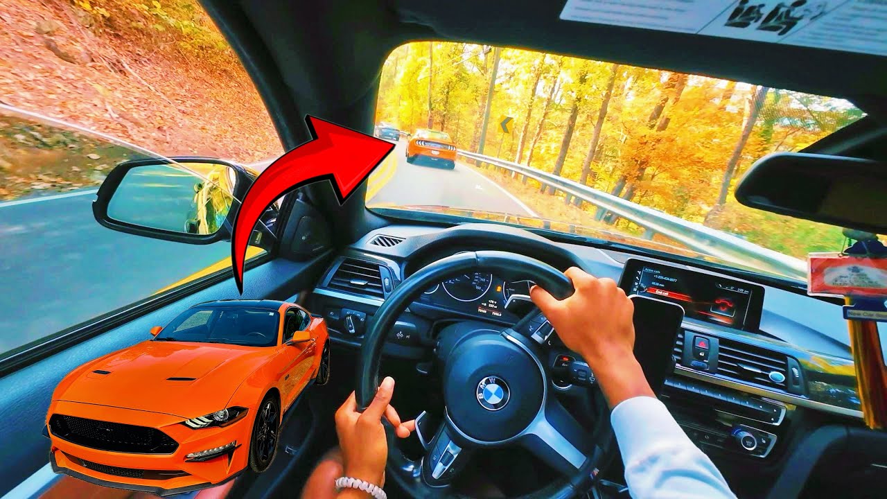 CHASING a MUSTANG GT Down Backroads In My BMW 440i - YouTube