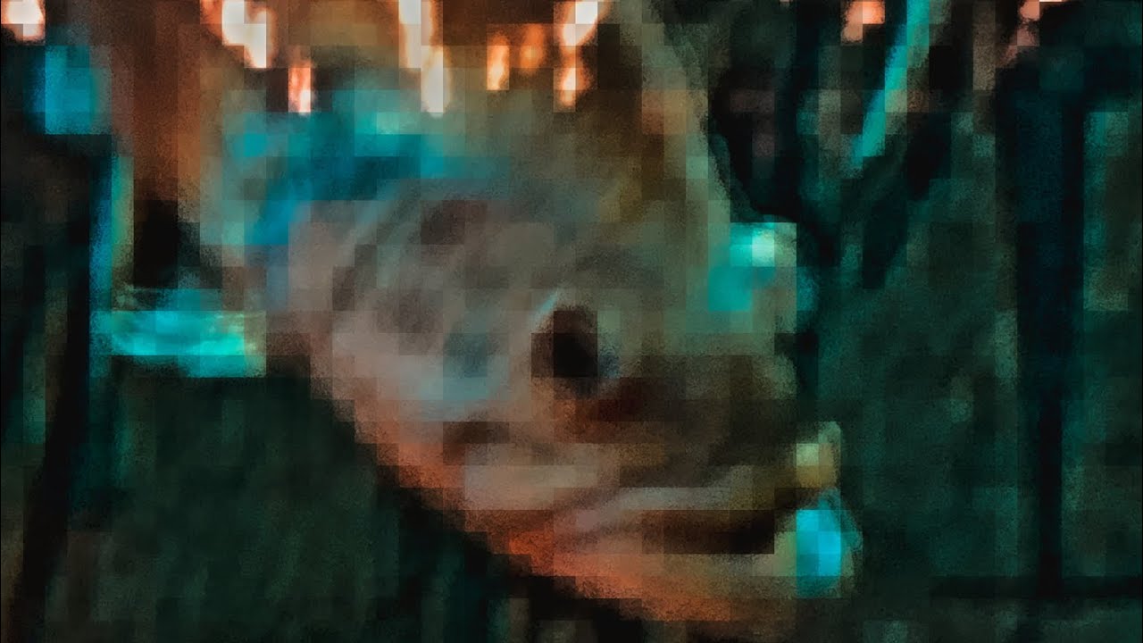 Broccoli Invasion ft. Crayonboxnicky (official audio) - YouTube