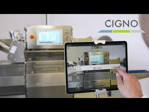 G.Mondini - CIGNO® - YouTube