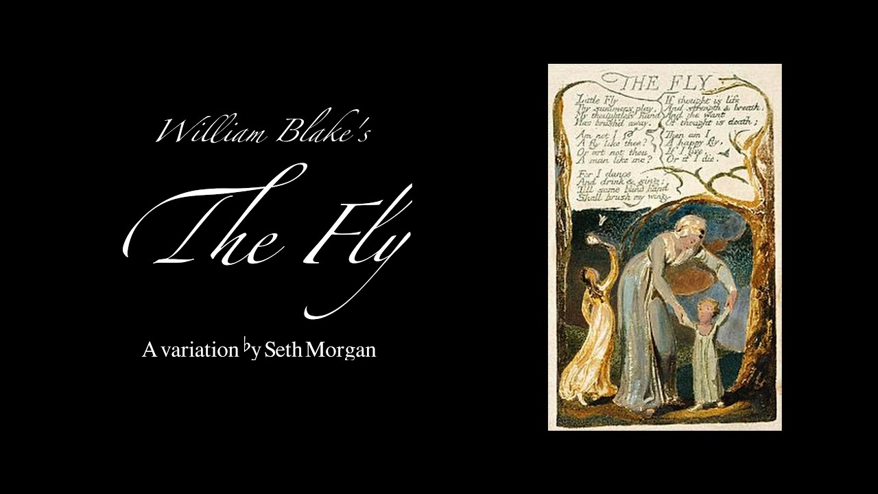 The Fly by William Blake - YouTube
