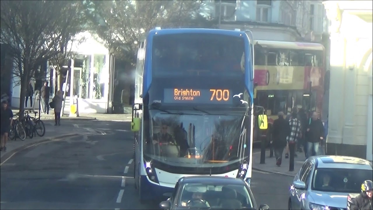 Foxy riding on Brighton and Hove bus route 21 in East Sussex, 8th ...
