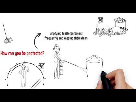 Simpl and Effective Tips - Protecting the Outside of your Home from Pests