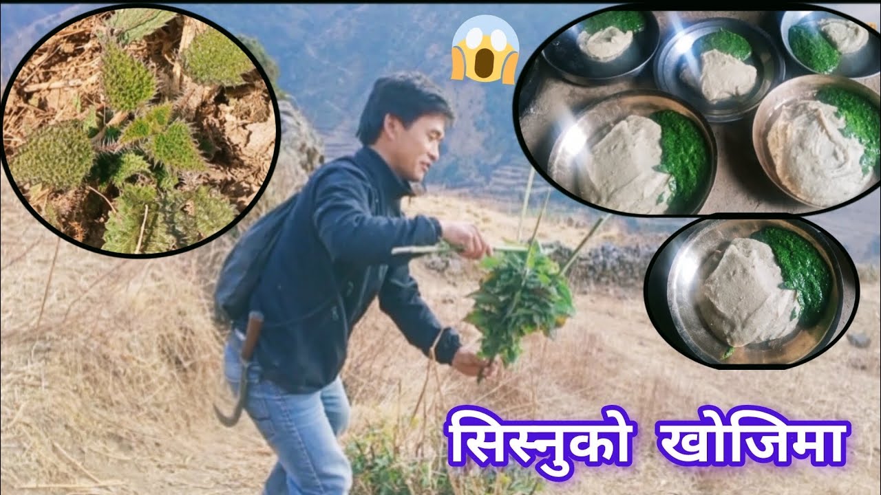 Nepali traditional food ( गाउँमा सिस्नु तिप्नुपर्ने ) Abin Gurung Ep 8 ...