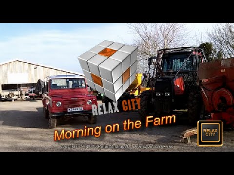 Birds singing Spring Sunrise Relaxing sounds of country Morning on Farm ...