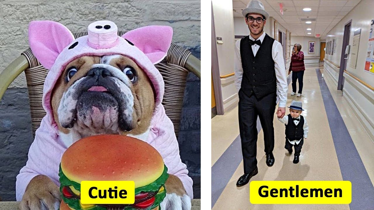 Daily Randomness 24 Nov 2K18 - YouTube