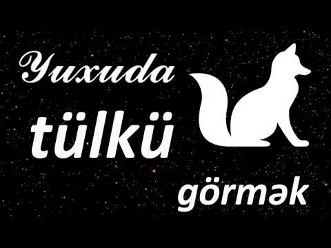 Yuxuda tülkü görmək ☾✵ Qısa Yuxuyozma