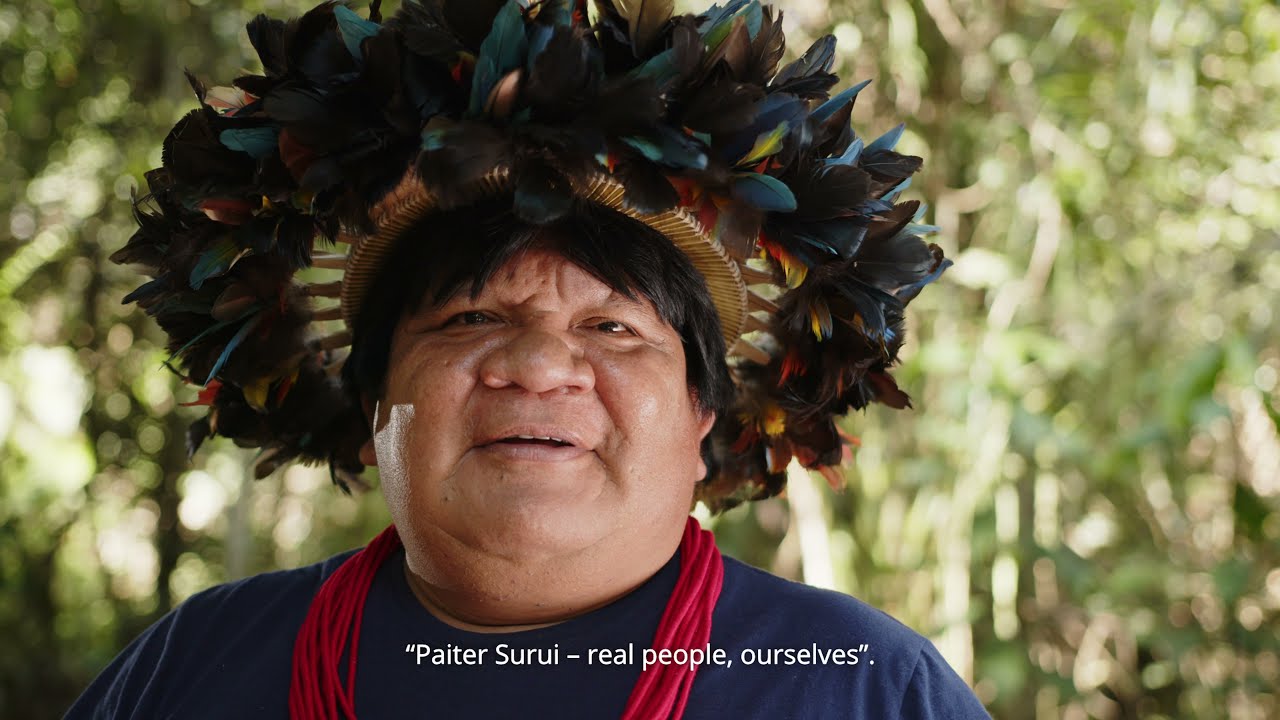 Brazil nuts - Paiter Suruí indigenous peoples | Short Version - YouTube