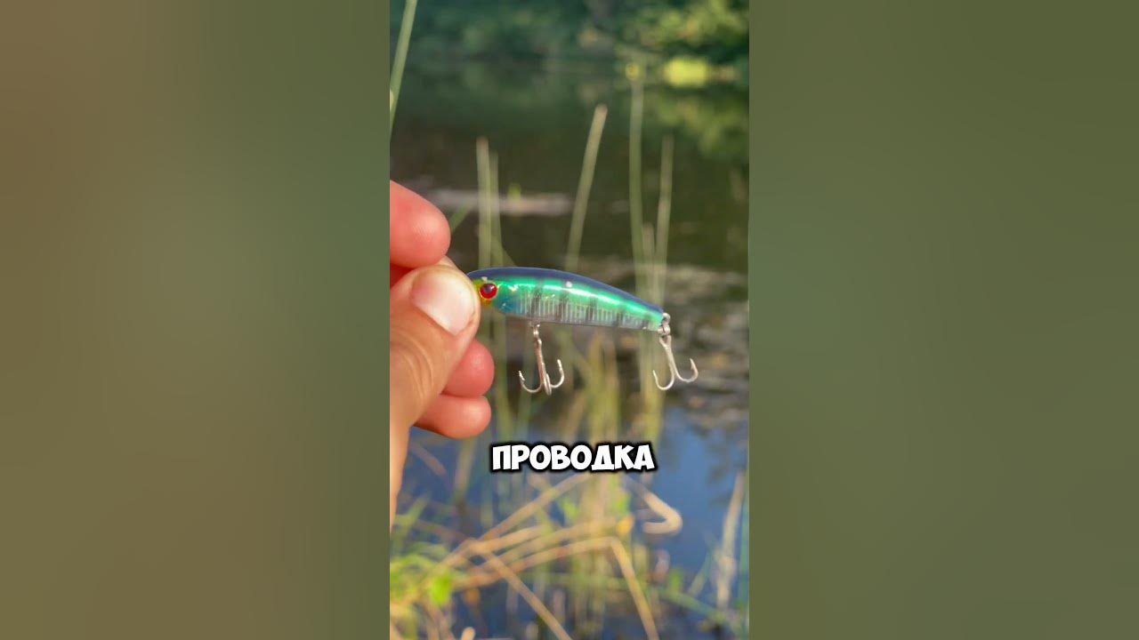 Как поймать ЖЕРЕХА НА СТИКИ стикбейты #fishing #жерех #рыбалка # ...